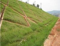 China Reinforced Green 3D Geomat GB/ASTM GRI-GM13 Standard for Slope Protection and Growth for sale