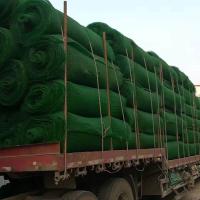 China Reinforced Green 3D Geomat GB/ASTM GRI-GM13 Standard for Slope Protection and Growth for sale