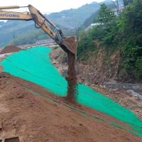China Reinforced Green 3D Geomat GB/ASTM GRI-GM13 Standard for Slope Protection and Growth for sale