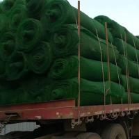 China 3D Geomat Onsite Inspection Service and Firm Grass Seed Distribution for Slope Protection for sale