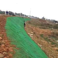 China 3D Geomat Onsite Inspection Service and Firm Grass Seed Distribution for Slope Protection for sale