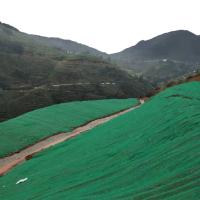 China 3D Geomat Onsite Inspection Service and Firm Grass Seed Distribution for Slope Protection for sale