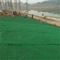 China 3D Geomat Onsite Inspection Service and Firm Grass Seed Distribution for Slope Protection for sale