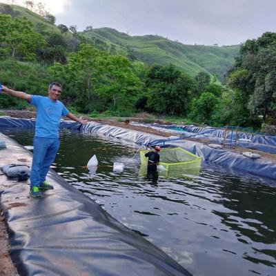 China 1m-10m Width HDPE Geomembrane for Fish Shrimp Tank 0.3-3mm ASTM Onsite Training Offered for sale