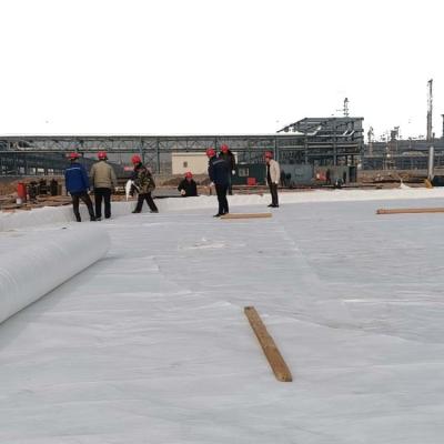 China High Strength Geotextile for Filtering and Drainage Isolation in Mine Road Railway Dam for sale