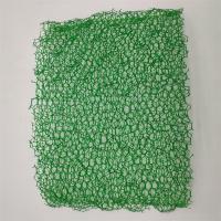 China Modern Design HDPE Erosion Control Mat for Slope Protection in River and Mountain Projects for sale
