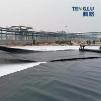 China Waterproofing Plastic Fish Pond Liner HDPE Geomembrane with Double Smooth Technology for sale