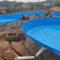 China 1mm 2mm Swimming Pool Liner HDPE Geomembrane in Blue Color with 100% Virgin Material for sale