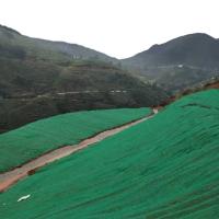 China Reinforced Green 3D Geomat the Perfect Solution for Slope Protection System in Market for sale