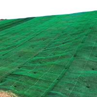 China Reinforced Green 3D Geomat the Perfect Solution for Slope Protection System in Market for sale