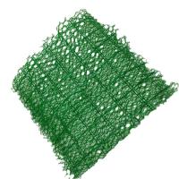 China Reinforced Green 3D Geomat the Perfect Solution for Slope Protection System in Market for sale