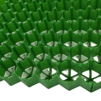 China Green HDPE Plastic Planting Grass Paver Grid for Driveway CE/ISO9001/ISO14001 Certified for sale
