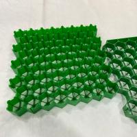 China Green HDPE Plastic Planting Grass Paver Grid for Driveway CE/ISO9001/ISO14001 Certified for sale