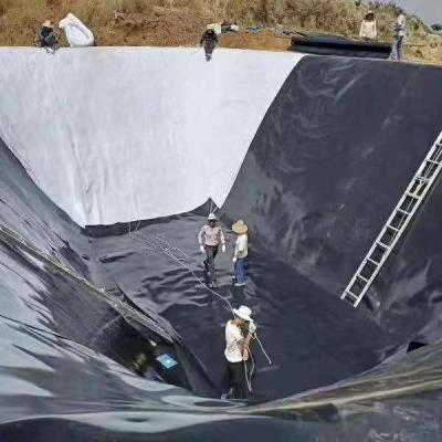 China 0.1mm 3mm HDPE Geomembrane Pond Liner for Fish Shrimp Farm 100% Virgin HDPE Material for sale