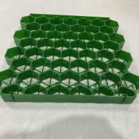 China Green HDPE Plastic Planting Grass Paver Grid for Driveway CE/ISO9001/ISO14001 Certified for sale