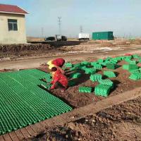 China Green HDPE Plastic Planting Grass Paver Grid for Driveway CE/ISO9001/ISO14001 Certified for sale