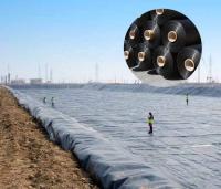 China Direct Supply 0.5mm HDPE Sheet Polyethylene Film for Aquaculture Length 50-200m / Roll for sale
