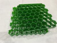 China 5cm Height HDPE PP Material Plastic Planting Grass Paver Grid for Parking Lot and Driveway for sale