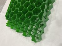 China 5cm Height HDPE PP Material Plastic Planting Grass Paver Grid for Parking Lot and Driveway for sale