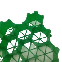 China 38mm Height Green HDPE Plastic Planting Grass Paver Grid for Parking Lot and Driveway for sale