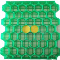 China 38mm 48mm 68mm HDPE Plastic Grass Paver Grid for Long-lasting Parking and Driveway for sale