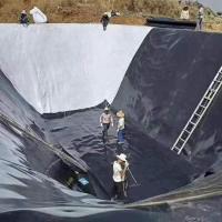 China Double Smooth Surface HDPE Geomembrane 0.2mm-3mm for Fish Farm Pond Liner Aquaculture for sale