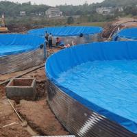 China Double Smooth Surface HDPE Geomembrane 0.2mm-3mm for Fish Farm Pond Liner Aquaculture for sale