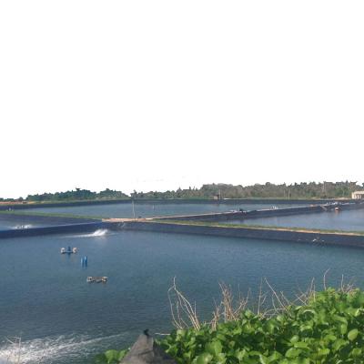 China Blue HDPE Geomembrane Sheet for Fish Pond 0.1mm 3mm and Onsite Installation Service for sale