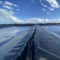 China Blue HDPE Geomembrane Sheet for Fish Pond 0.1mm 3mm and Onsite Installation Service for sale