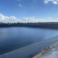 China Blue HDPE Geomembrane Sheet for Fish Pond 0.1mm 3mm and Onsite Installation Service for sale