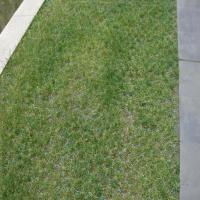 China Customization Plastic Garden Gravel Grass Paver Grid for Parking Lots Height 38MM-50MM for sale