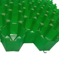 China Customization Plastic Garden Gravel Grass Paver Grid for Parking Lots Height 38MM-50MM for sale