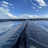 China Hdpe Geomembrane Liner for Environmental Projects and After-sale Service Guaranteed for sale
