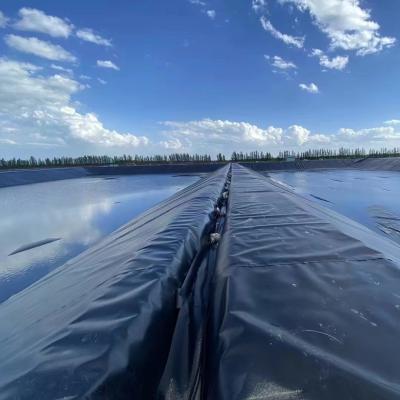 China Hdpe Geomembrane Liner for Environmental Projects and After-sale Service Guaranteed for sale
