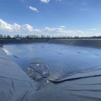 China Hdpe Geomembrane Liner for Environmental Projects and After-sale Service Guaranteed for sale