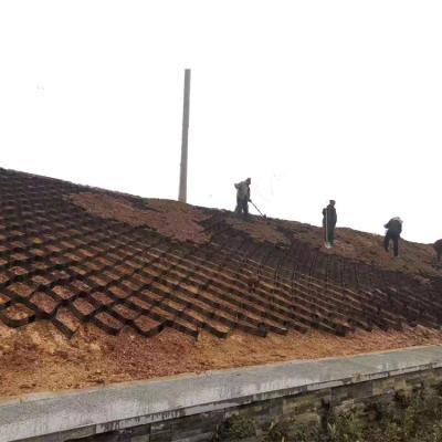 China HDPE Geocell Ground Enhancement Cellular System for Gravel Grid Driveway Stabilization for sale