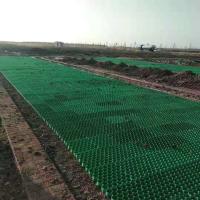 China Black Green HDPE Plastic Planting for Parking Lot Grass Reinforcing in HDPE Material for sale