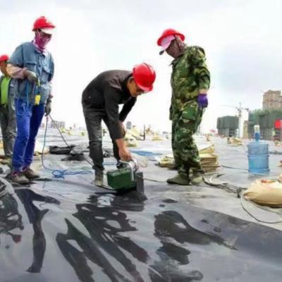 China Double Smooth Geomembrane 0.5mm/0.75mm for Fish Shrimp Pond GB/ASTM GRI-GM13 Standard for sale