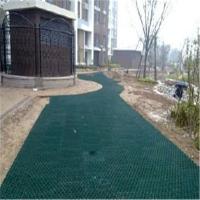 China Height Green HDPE Plastic Planting Grass Paver Grid with CE/ISO9001/ISO14001 Certificate for sale