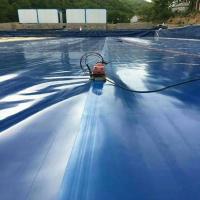 China Fish Farm Pond Liner HDPE Geomembrane Waterproof Plastic Materials Geomembrane HDPE for sale