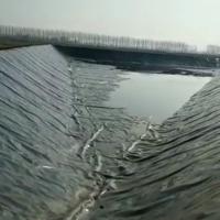 China Hdpe Geomembrane Pond Liner For Fish Pond 0.3-3mm Roll Length 50-200m Width 1m-10m for sale