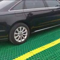 China Black Green HDPE Plastic Grass Paver Grid for Parking Lot Planting Durable and Strong for sale