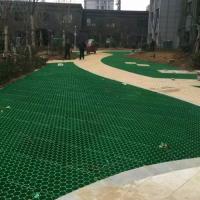 China Black Green HDPE Plastic Grass Paver Grid for Parking Lot Planting Durable and Strong for sale