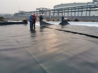 China HDPE Geomembrane for Dam Landfill Aquaculture Fish Farm Pond Liner Waterproofing Materials for sale