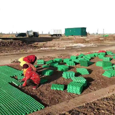 China PP Material Parking Lot and Driveway Plastic Grass Paver Grid with After-sale Service for sale