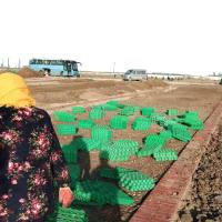 China PP Material Parking Lot and Driveway Plastic Grass Paver Grid with After-sale Service for sale