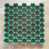 China PP Material Parking Lot and Driveway Plastic Grass Paver Grid with After-sale Service for sale