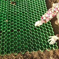 China PP Material Parking Lot and Driveway Plastic Grass Paver Grid with After-sale Service for sale