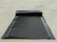 China Dimple Sheet HDPE Plastic Drainage Board for Railway Drainage Online Technical Support for sale