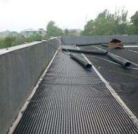 China Dimple Sheet HDPE Plastic Drainage Board for Railway Drainage Online Technical Support for sale